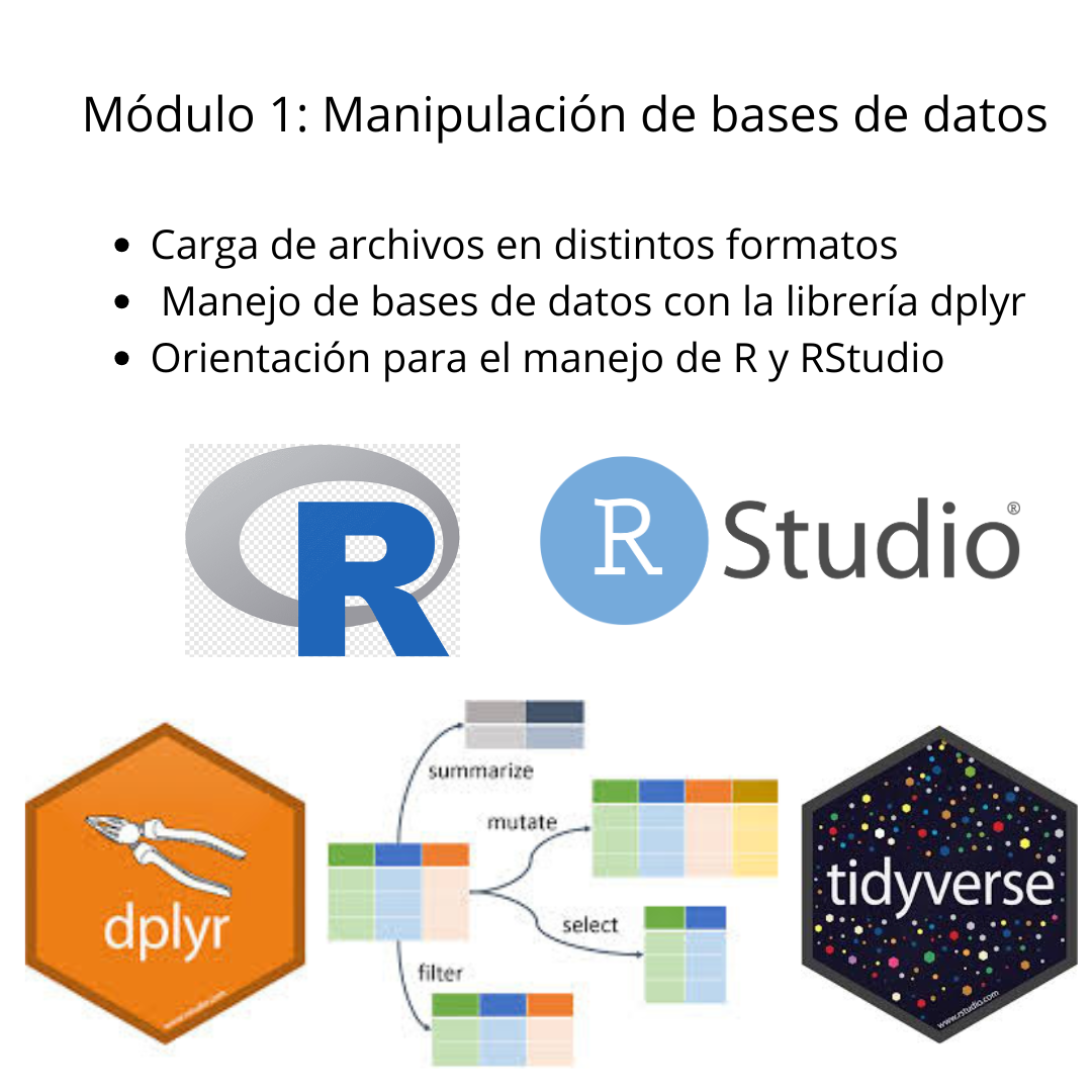Taller introductorio al análisis estadístico en R – TallerR